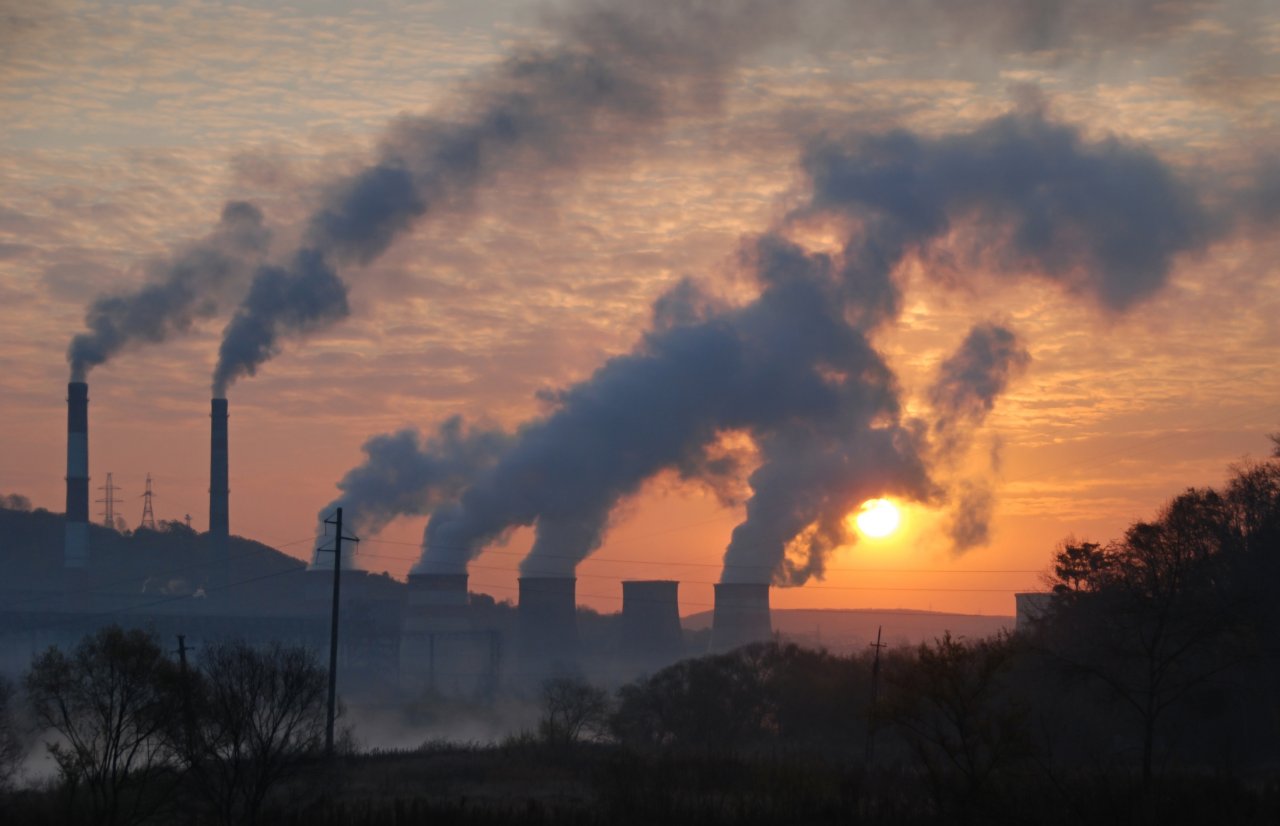 The Jan Zalasiewicz Interview | Green Planet Monitor